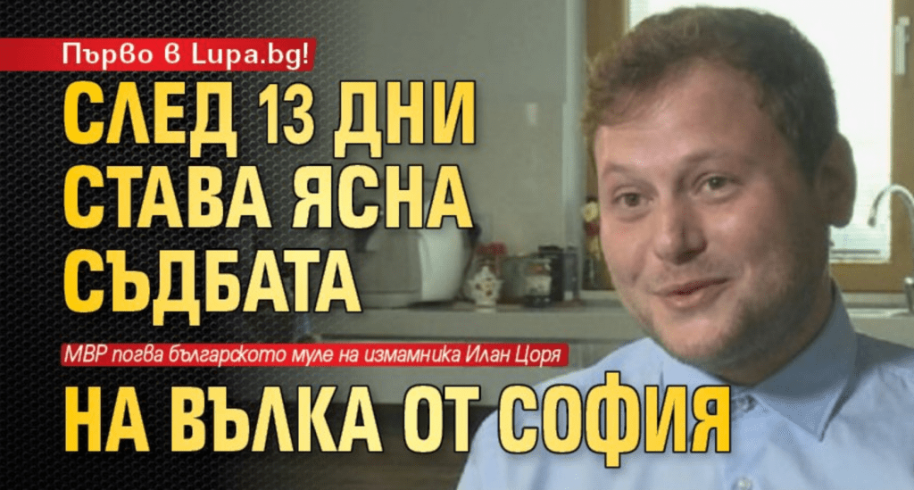 The Gal Barak Case - Looking for the co-conspirators | FinTelegram News