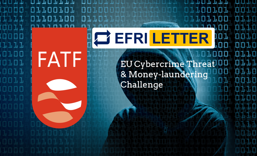 Fight Cybercrime - Open EFRI Letter to FATF on the German problem ...