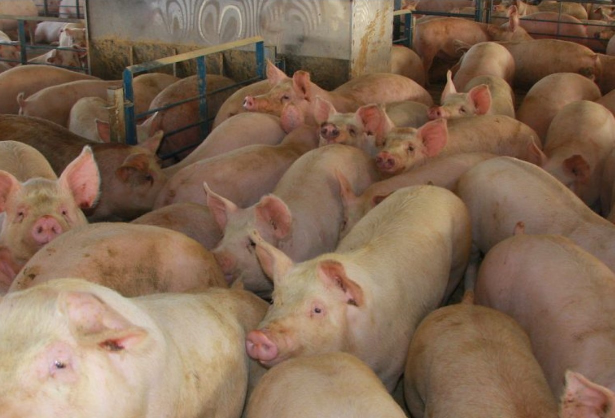 Front Page | FinTelegram News