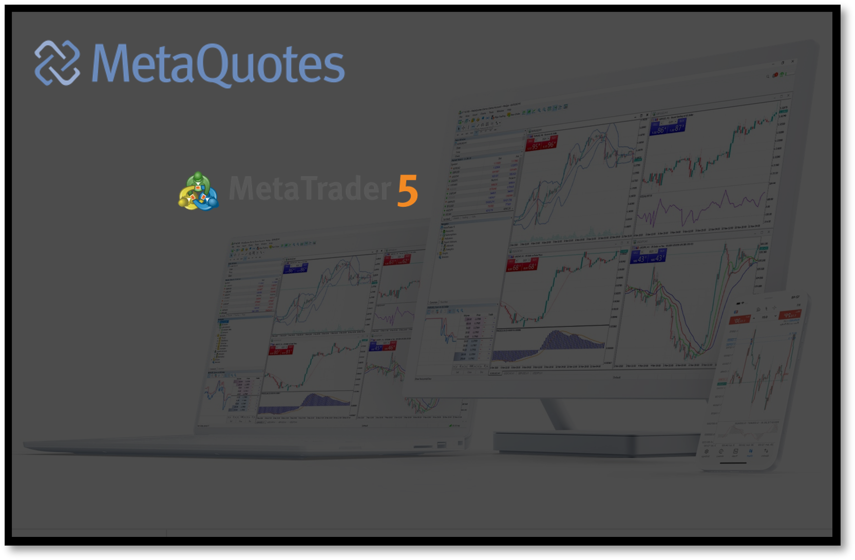 The MetaTrader Case And Why It Is Important To Take A Closer Look ...