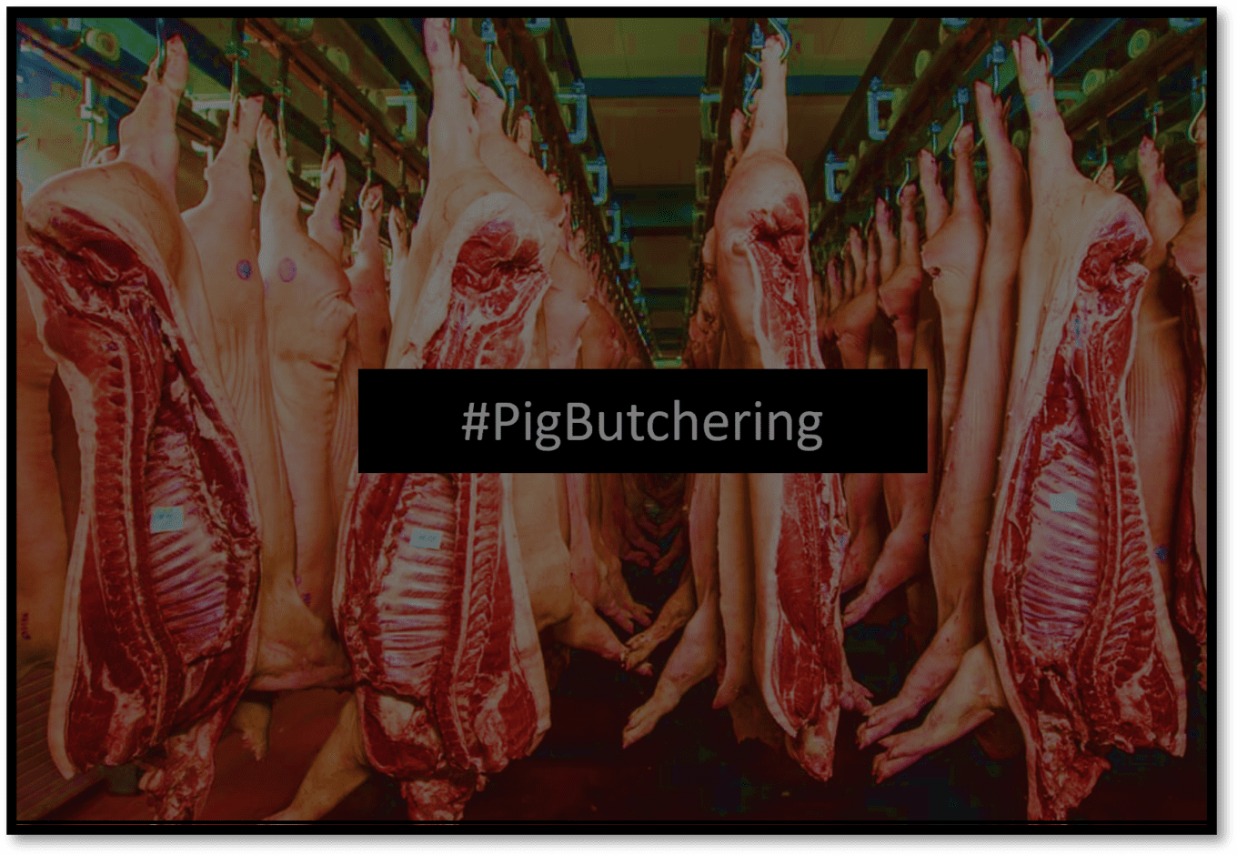 Bravo! Apple Removes The Russian-Cyprus MetaTrader After Pig Butchering ...