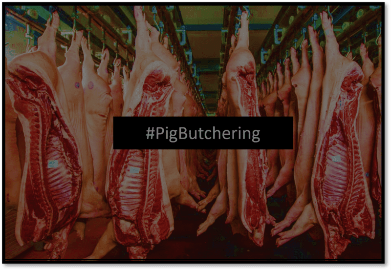 MetaTrader Allegedly Not Involved In Pig Butchering Scam But White ...