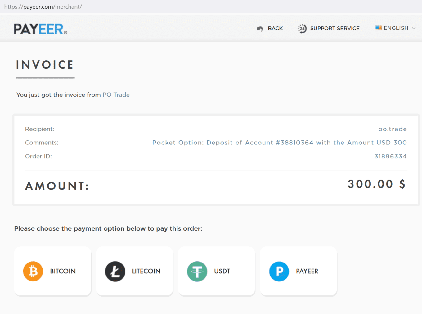 Russian-Controlled High-Risk Payment Processor Payeer Facilitates ...
