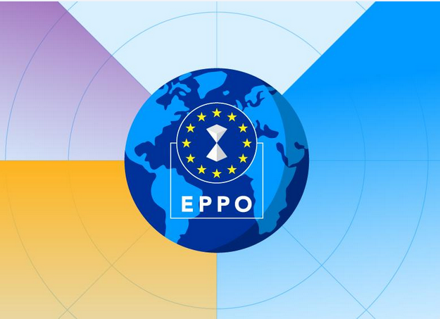 EPPO Freezes €9 Million in Fraud Investigation Involving Local ...